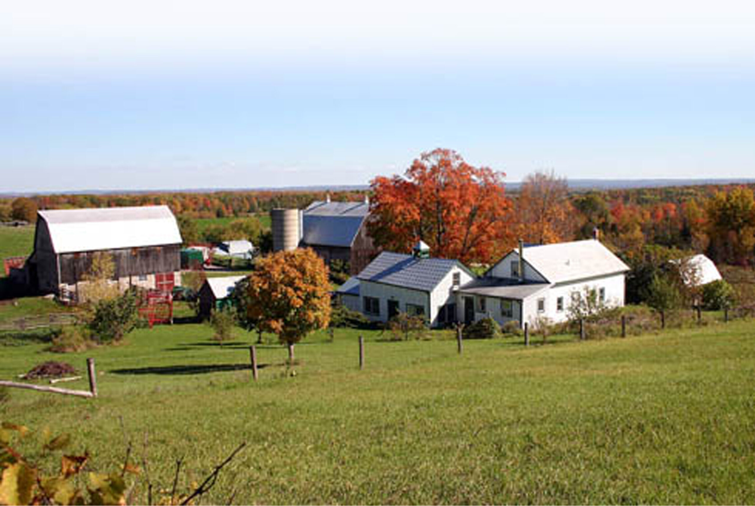 Home - Kingsholm Farms